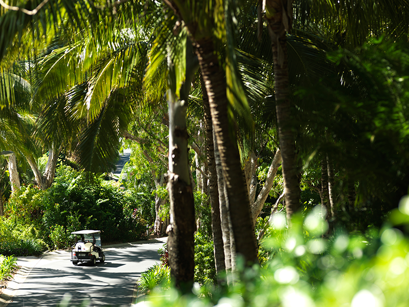 Buggy Hire | Hamilton Island Luxury Resort