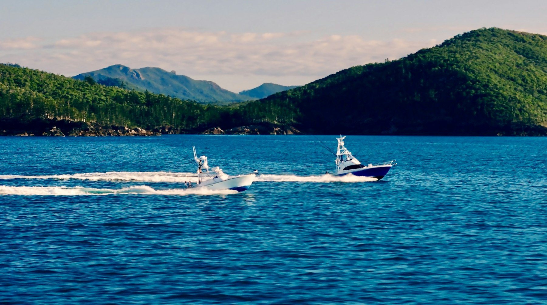 Topnotch Game Fishing Charters | Hamilton Island Vacation