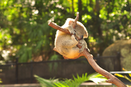 The best family activities | Hamilton Island Blog
