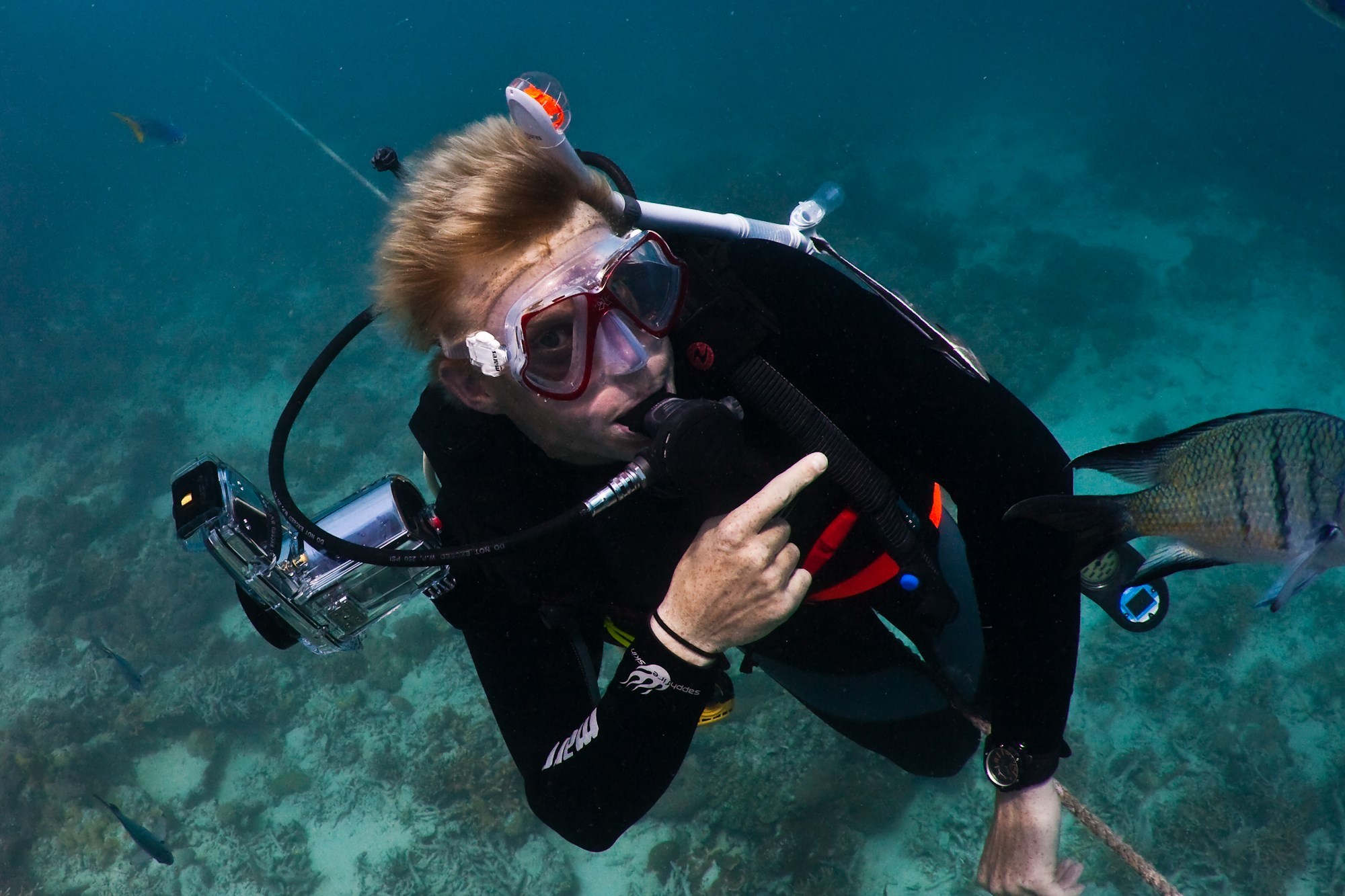 Best Job in the World | Stories from Hamilton Island