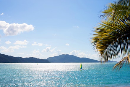 Hamilton Island Wildlife Cafe | Family Holiday Hamilton Island