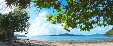 Parks, Ovals and Beaches | Hamilton Island