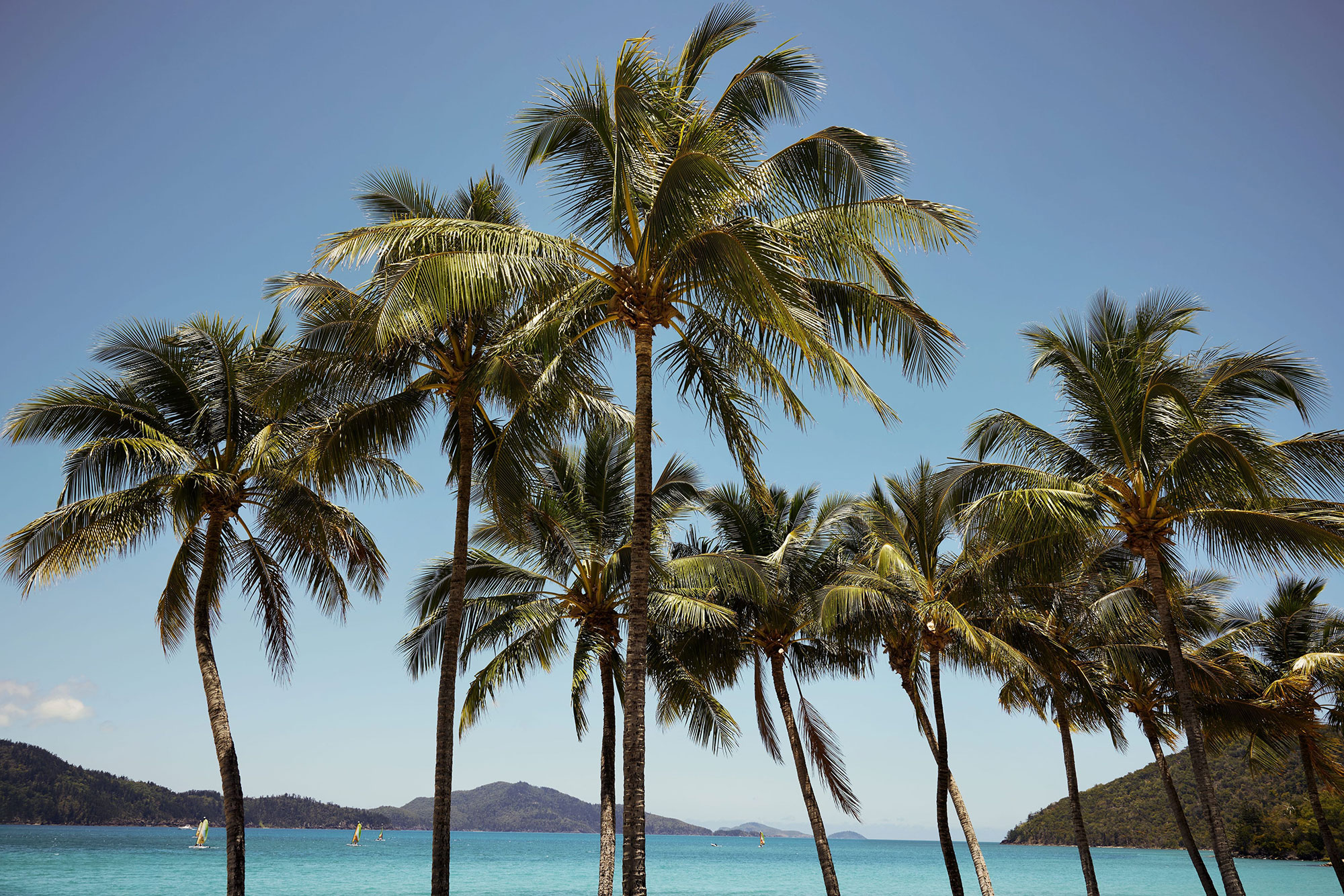 Book Direct | Best Price Guarantee | Hamilton Island Holiday Packages