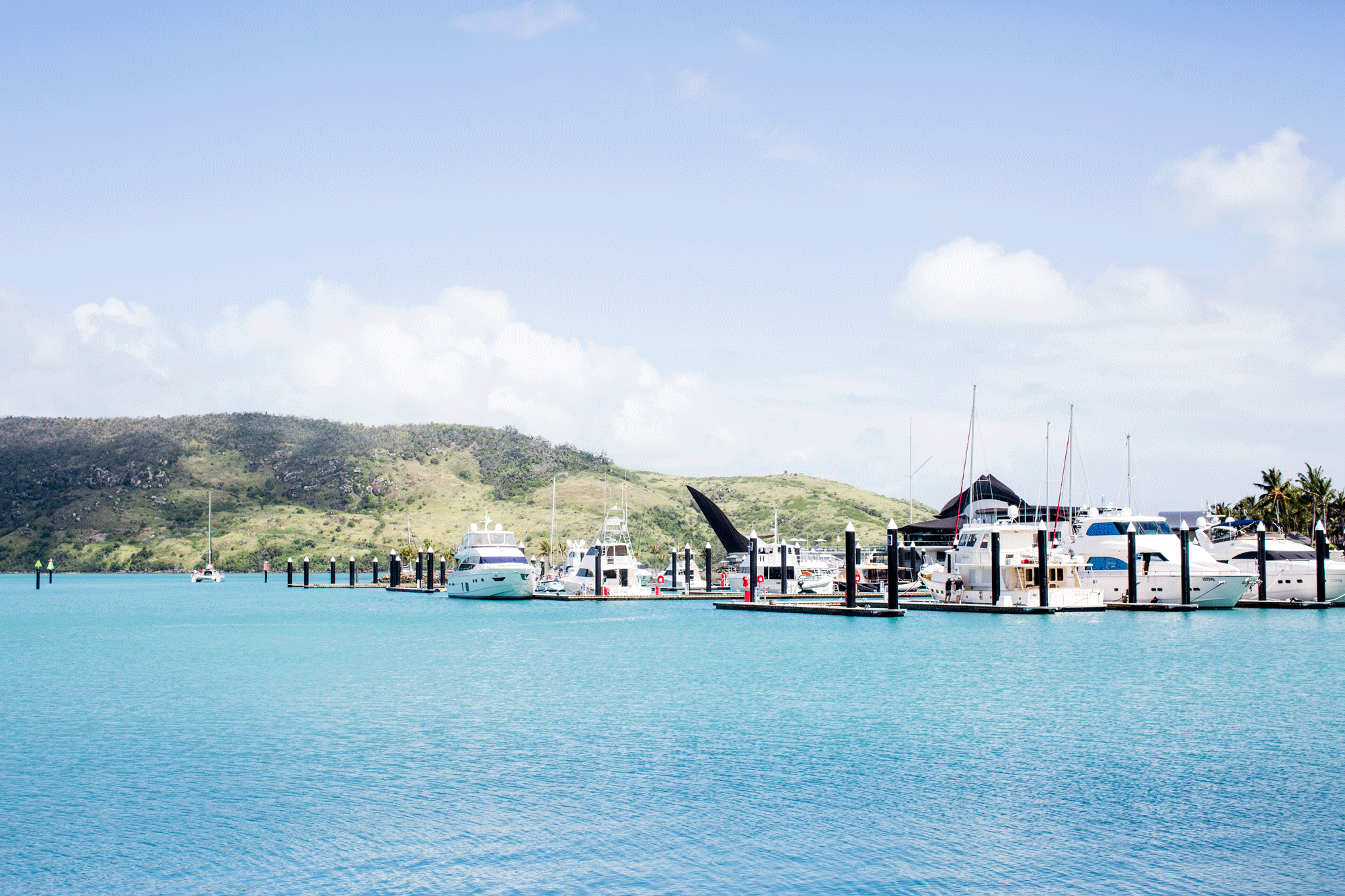 Marina | Hamilton Island Marina | Sailing Holiday | Hamilton Island